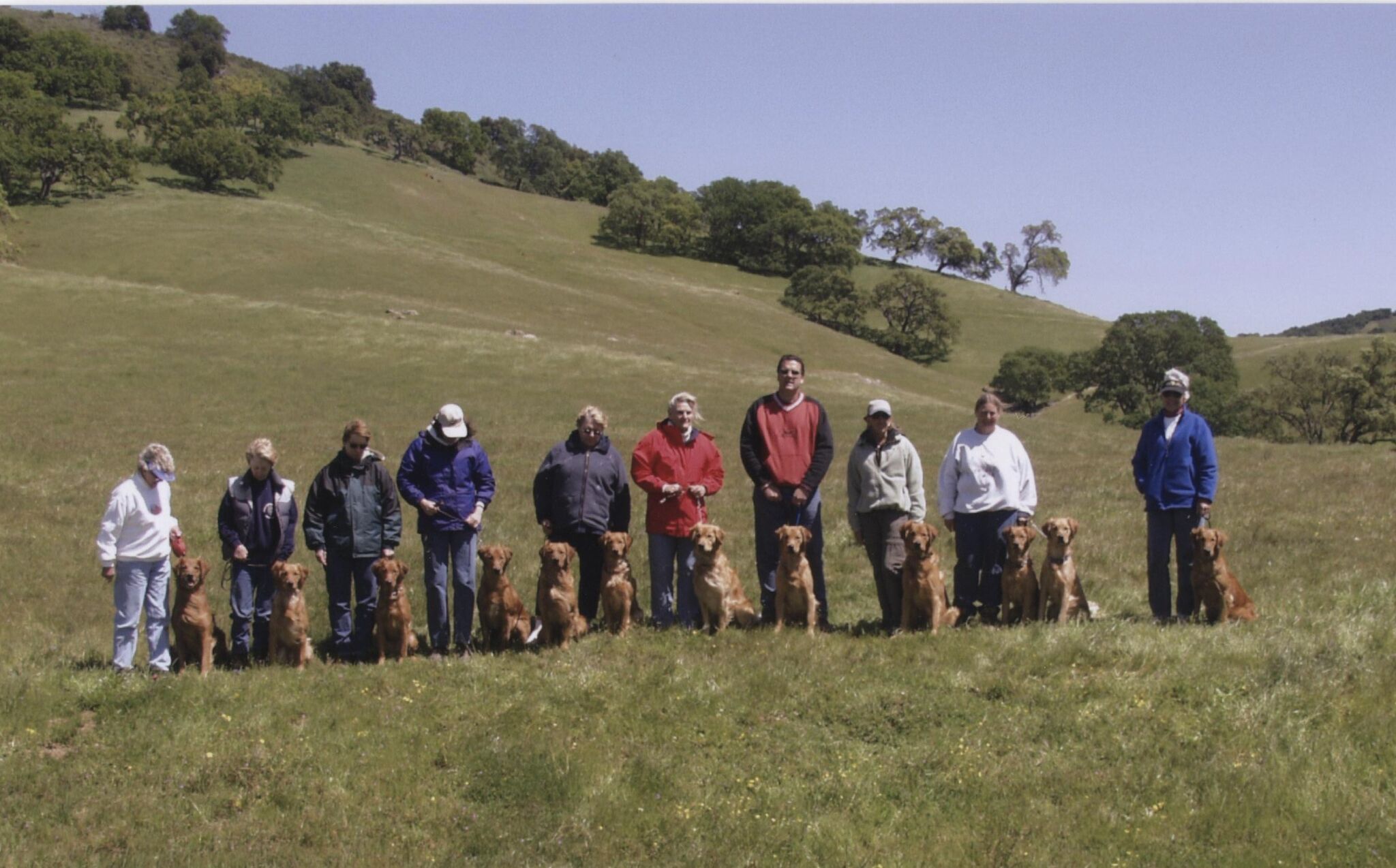 Officers and Contacts - Golden Retriever Club of America